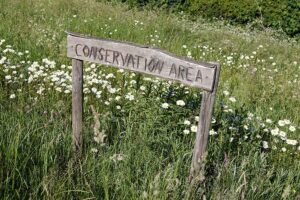 Buying in a conservation area? What to check before you commit | Today ...